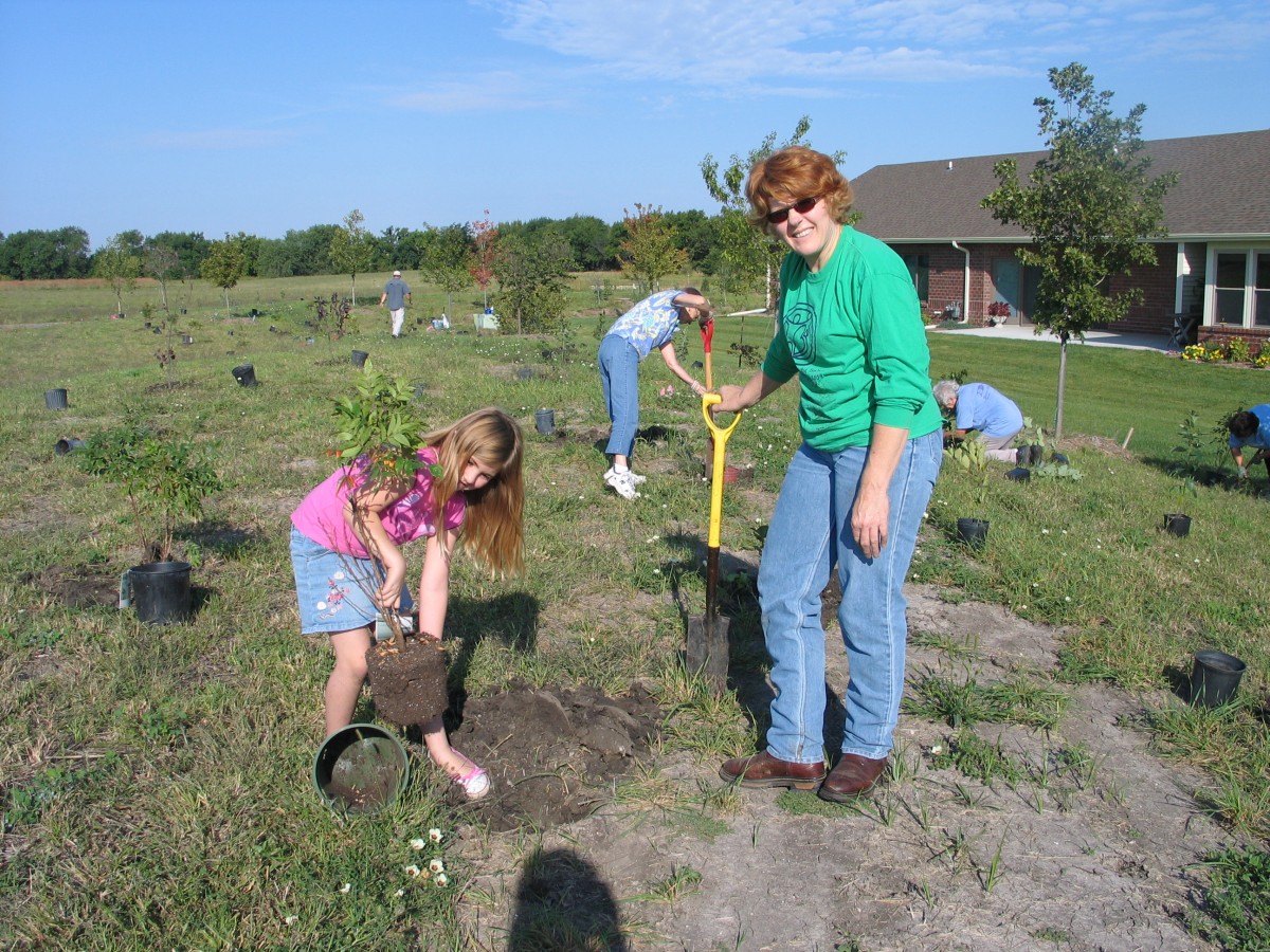 Is Your Gumbo Soil Making You Sing the Blues? - Dyck Arboretum