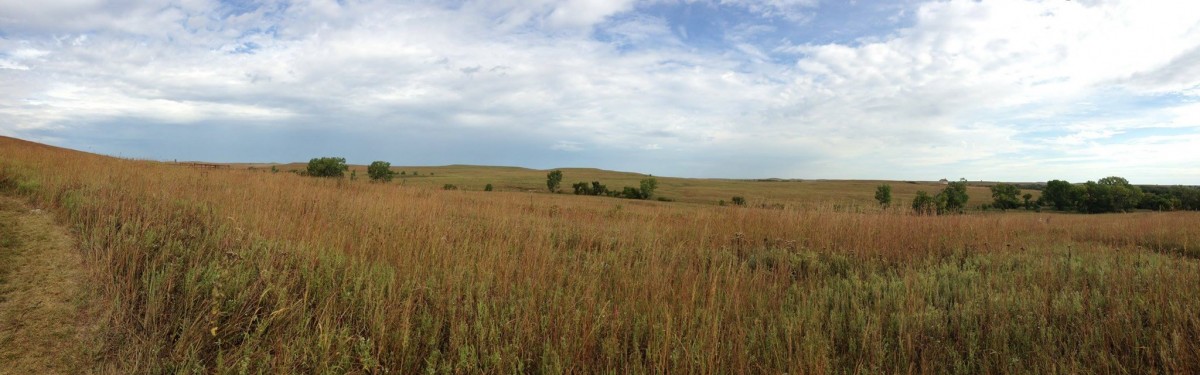 Have You Ever Wondered What The Tallgrass Prairie Was Really Like ...