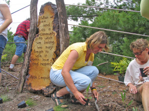Conrad Snider Archives - Dyck Arboretum