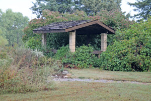 Conrad Snider Archives - Dyck Arboretum