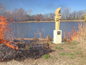 Conrad Snider Archives - Dyck Arboretum