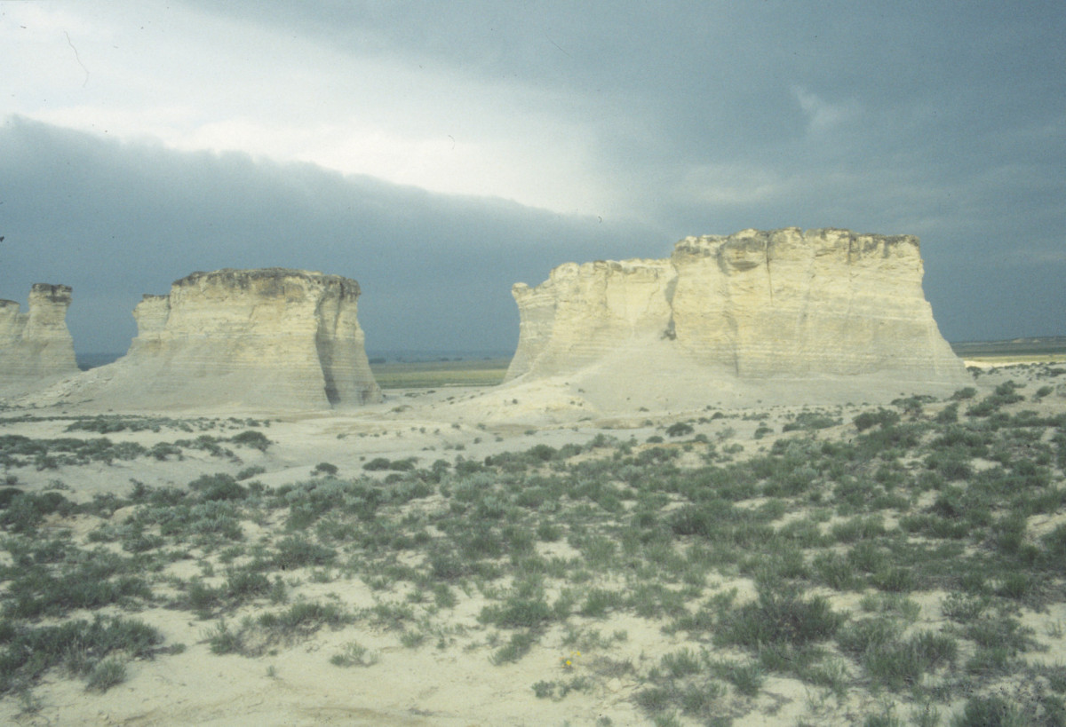 How Do You Learn About Native Plants? - Dyck Arboretum