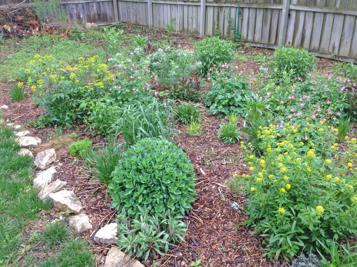 Landscaping with Native Plants – One Small Step at a Time - Dyck Arboretum