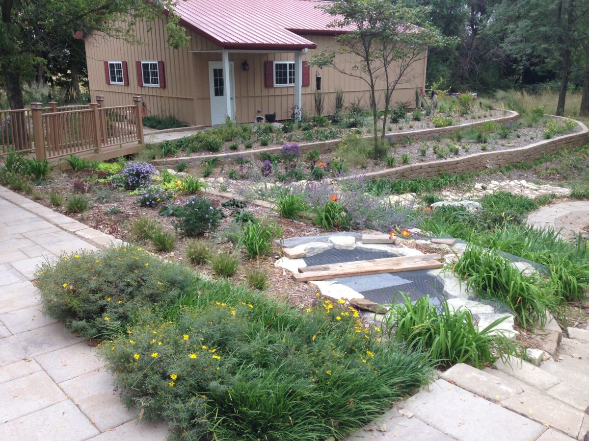 Native Plant Selection Made Easy - Dyck Arboretum