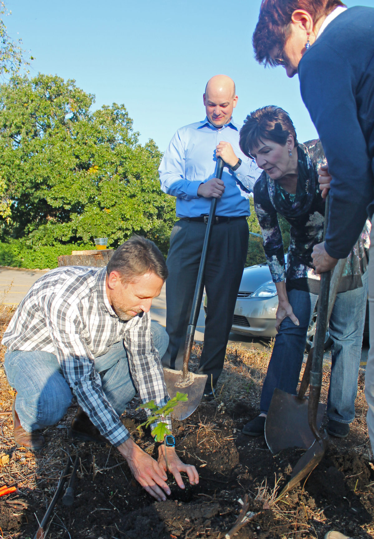 Planting Trees: When Visions Become Legacies - Dyck Arboretum