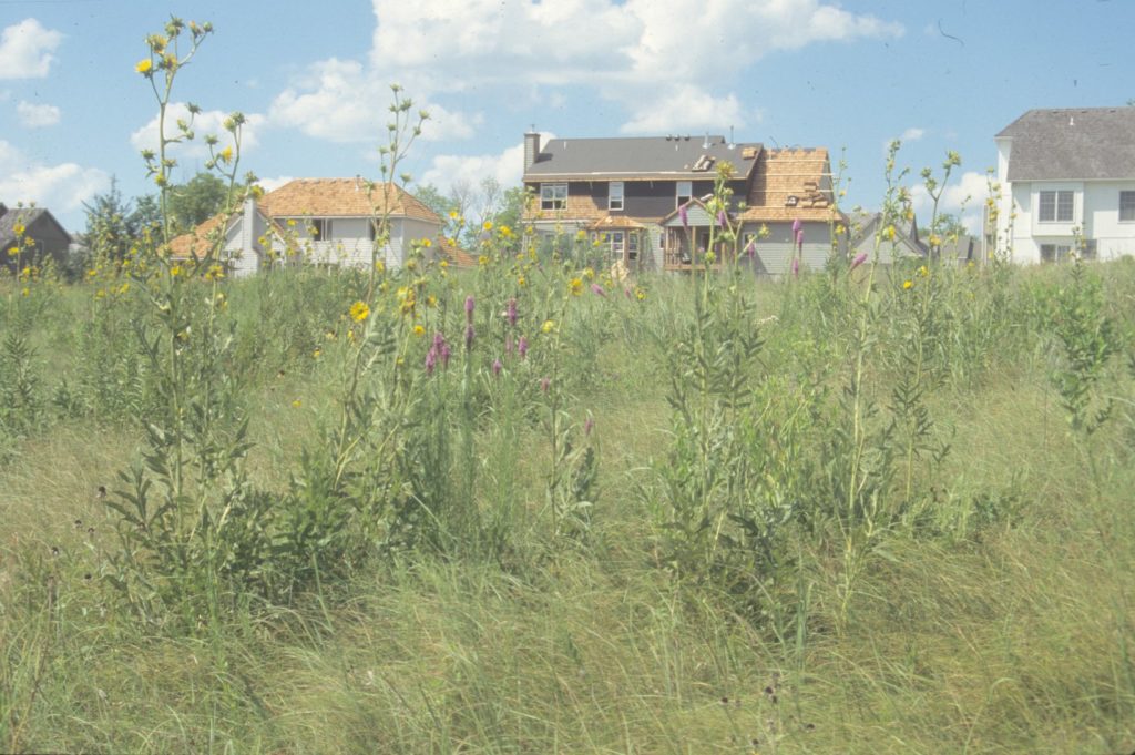 The Social Network for Plants - Dyck Arboretum