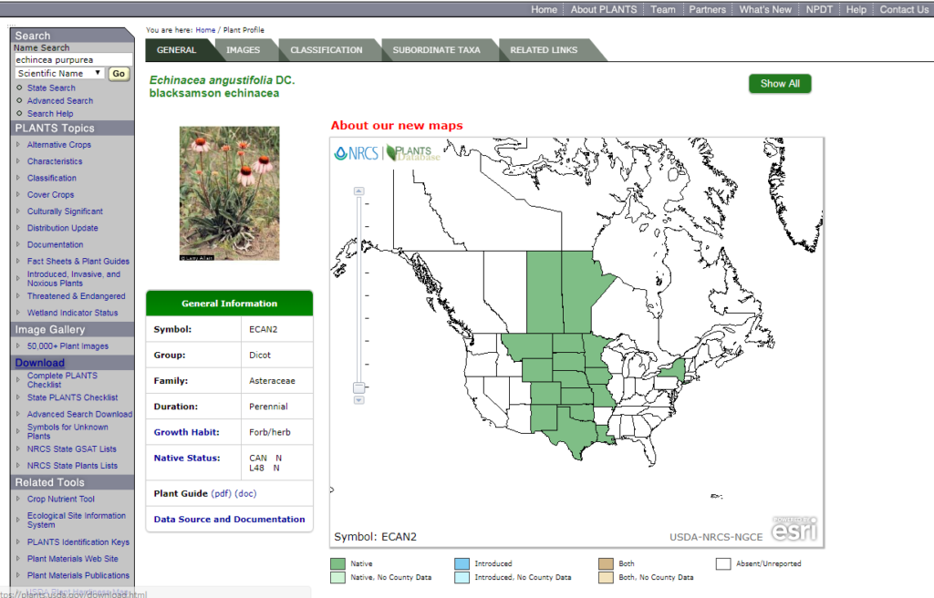 Imposter Plants: What it Means to Be Native, Part I - Dyck Arboretum