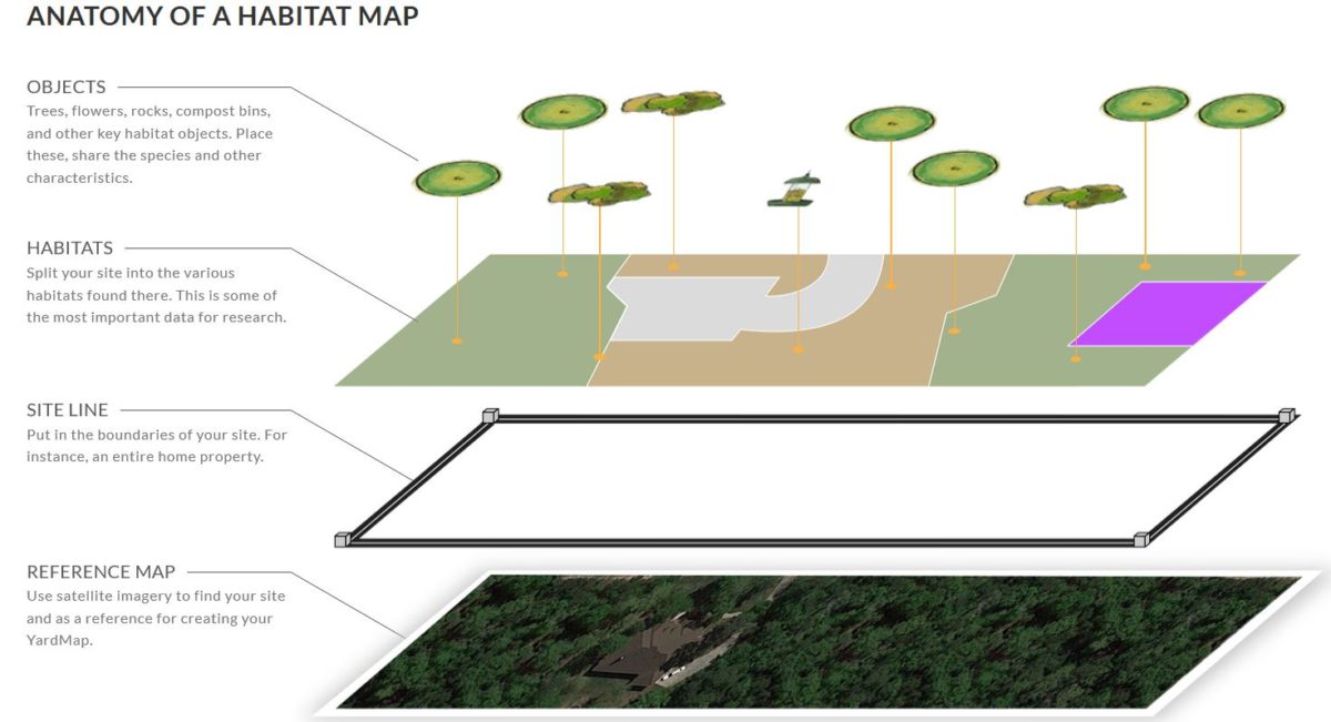 habitat network Archives - Dyck Arboretum