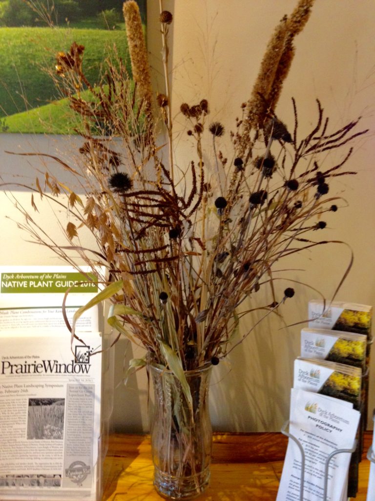 Using Natives in Floral Design - Dyck Arboretum