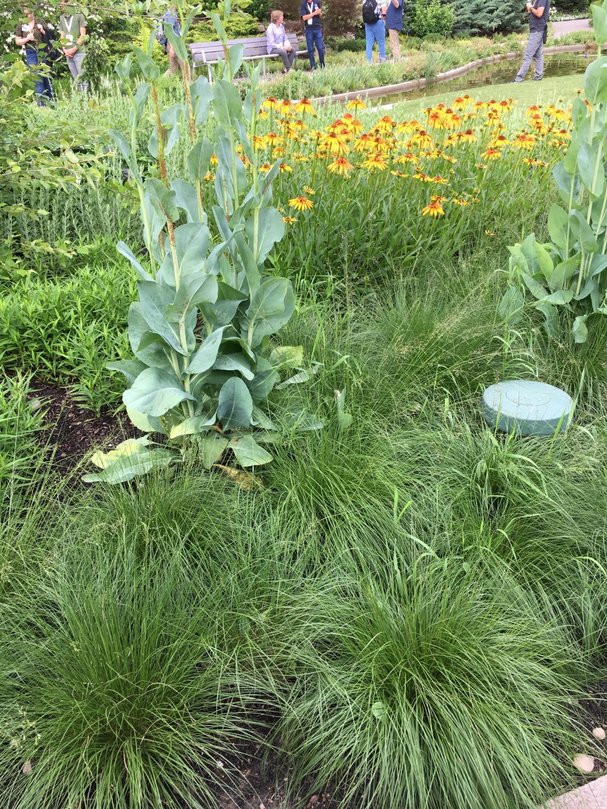 Landscape Design Principles: Plant Placement, Proportions and Scale ...