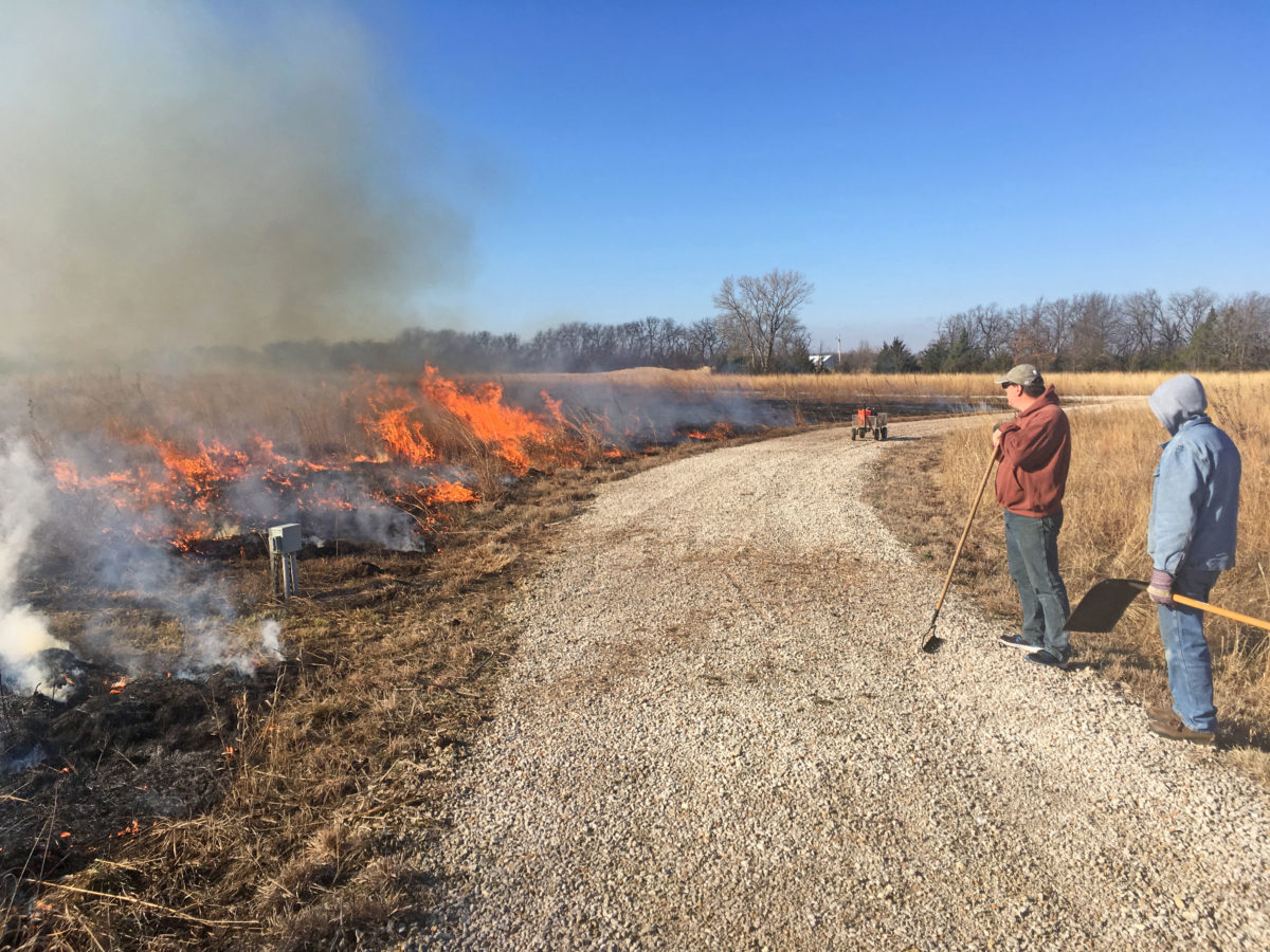 Fire: A Link Between People and the Prairie - Dyck Arboretum
