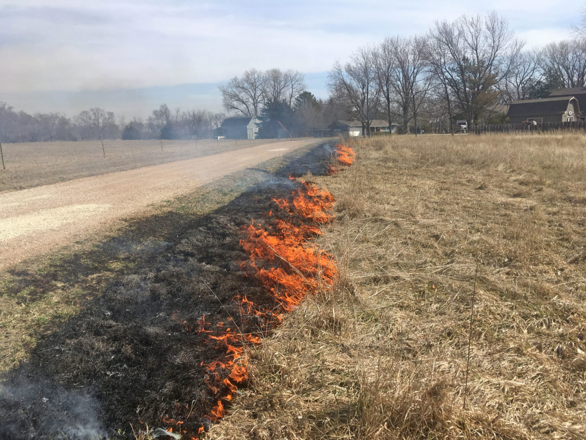 Fire: A Link Between People and the Prairie - Dyck Arboretum