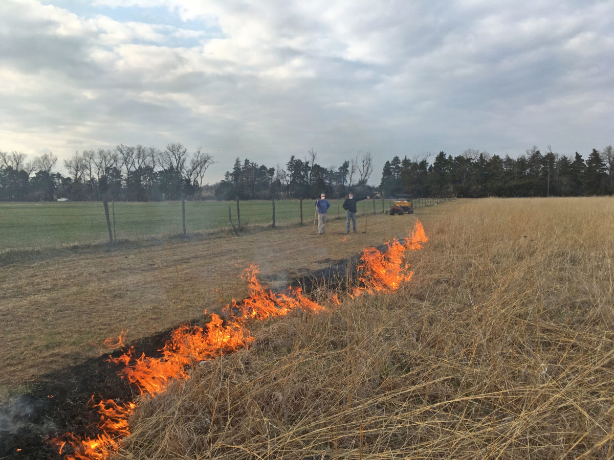 Fire: A Link Between People and the Prairie - Dyck Arboretum