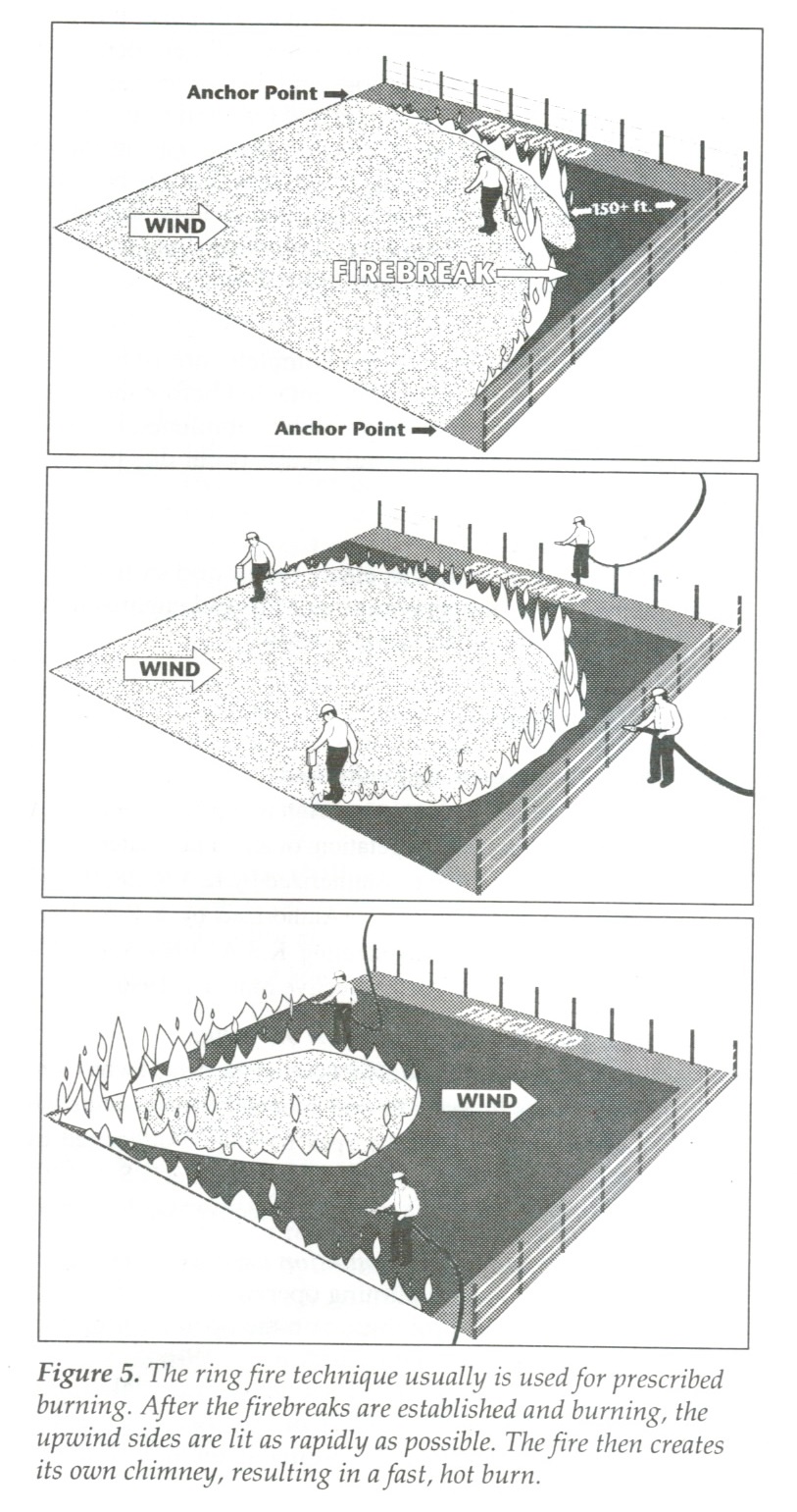 Fire: A Link Between People and the Prairie - Dyck Arboretum