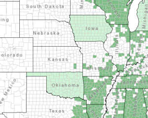 Kansas Native Ferns - Dyck Arboretum