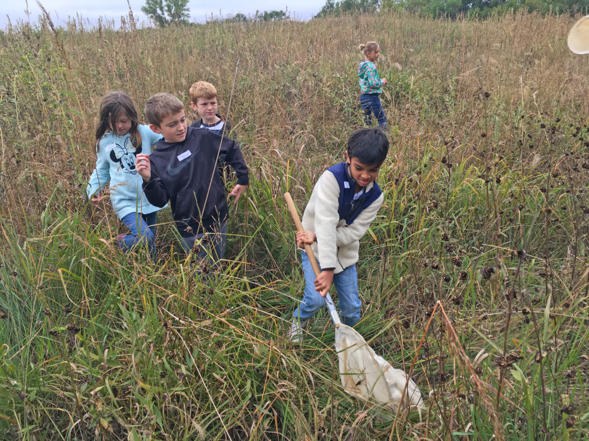 Our Maturing Reconstructed Prairie - Dyck Arboretum