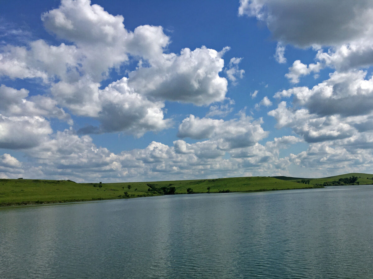 A Flint Hills Visit: Inspiration for Native Landscaping - Dyck Arboretum
