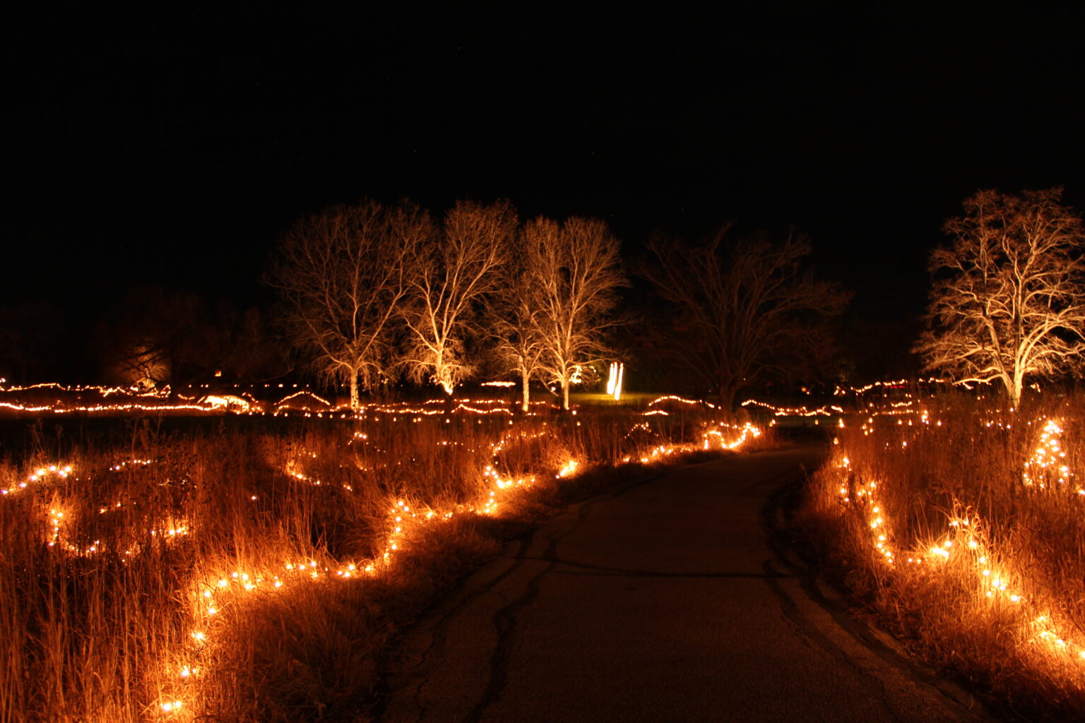 Prairie Lights 2025 - Dyck Arboretum