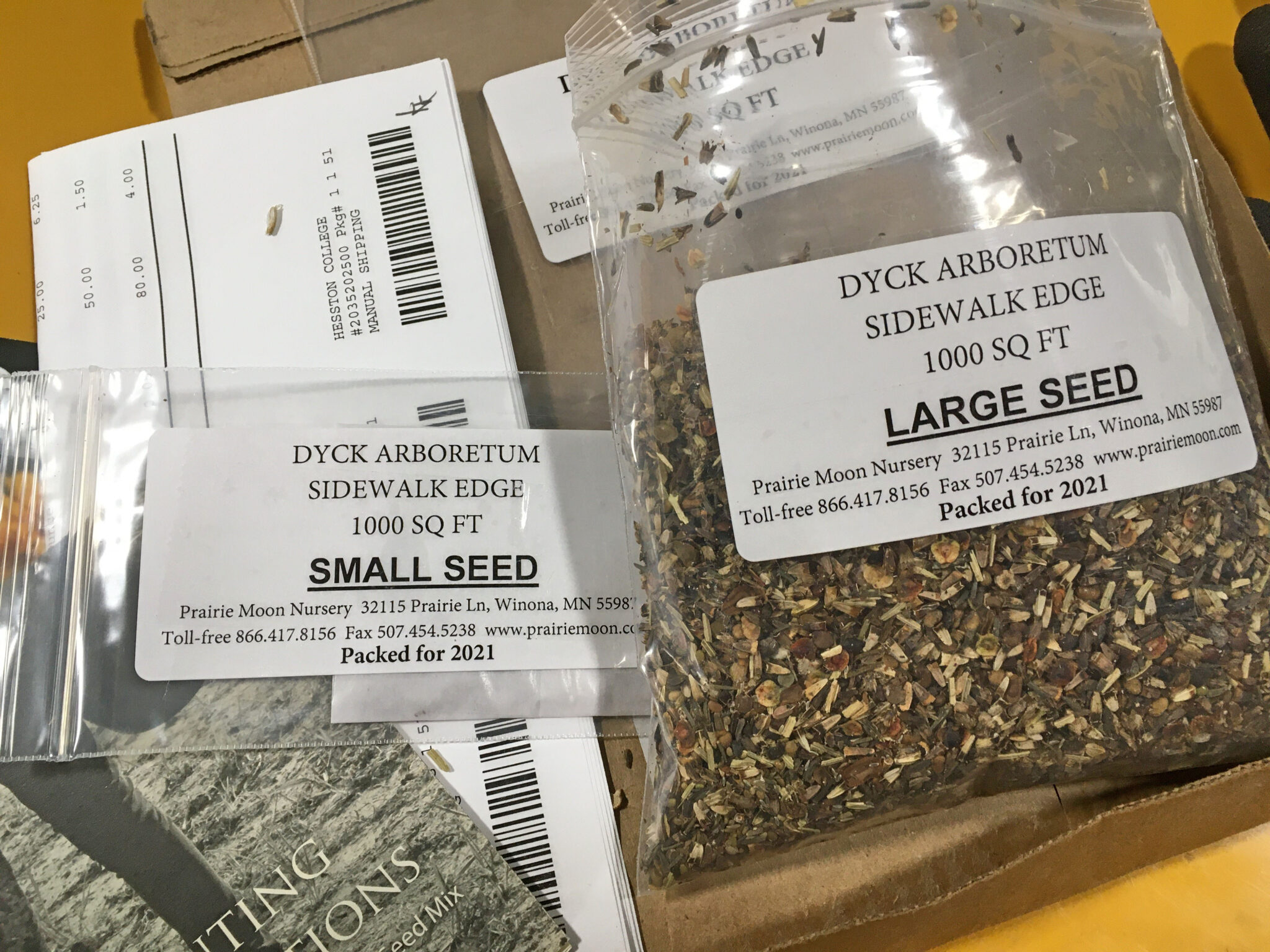 Seeding After Disturbance Dyck Arboretum