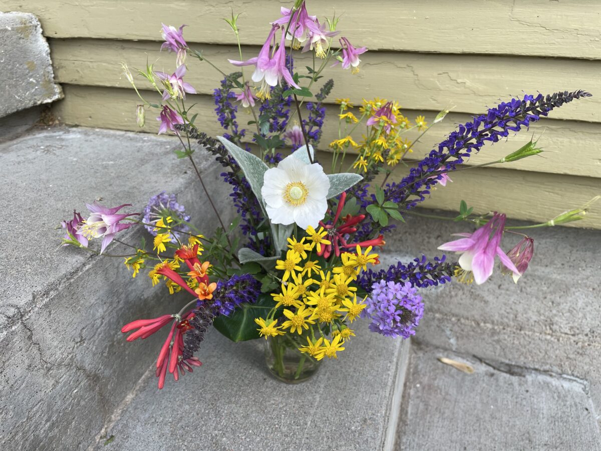 High Demand for Native Plants - Dyck Arboretum