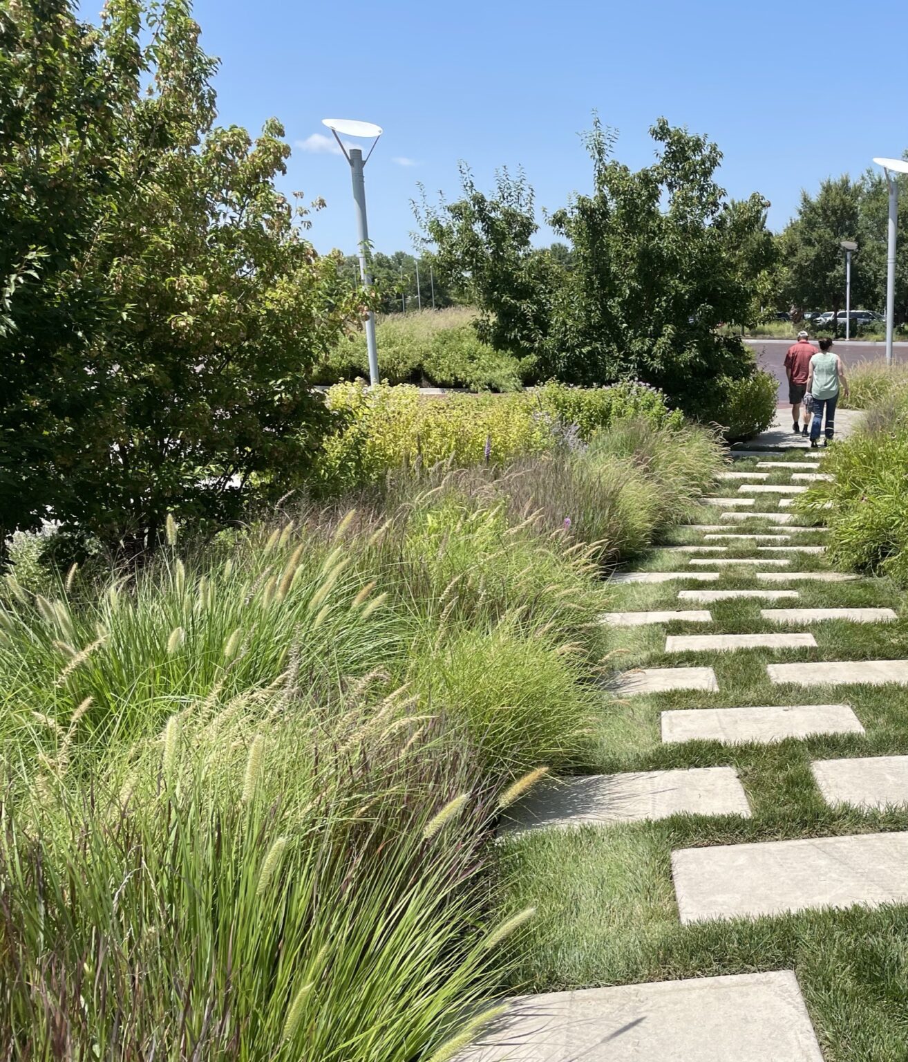 Top Plant Picks Archives - Dyck Arboretum