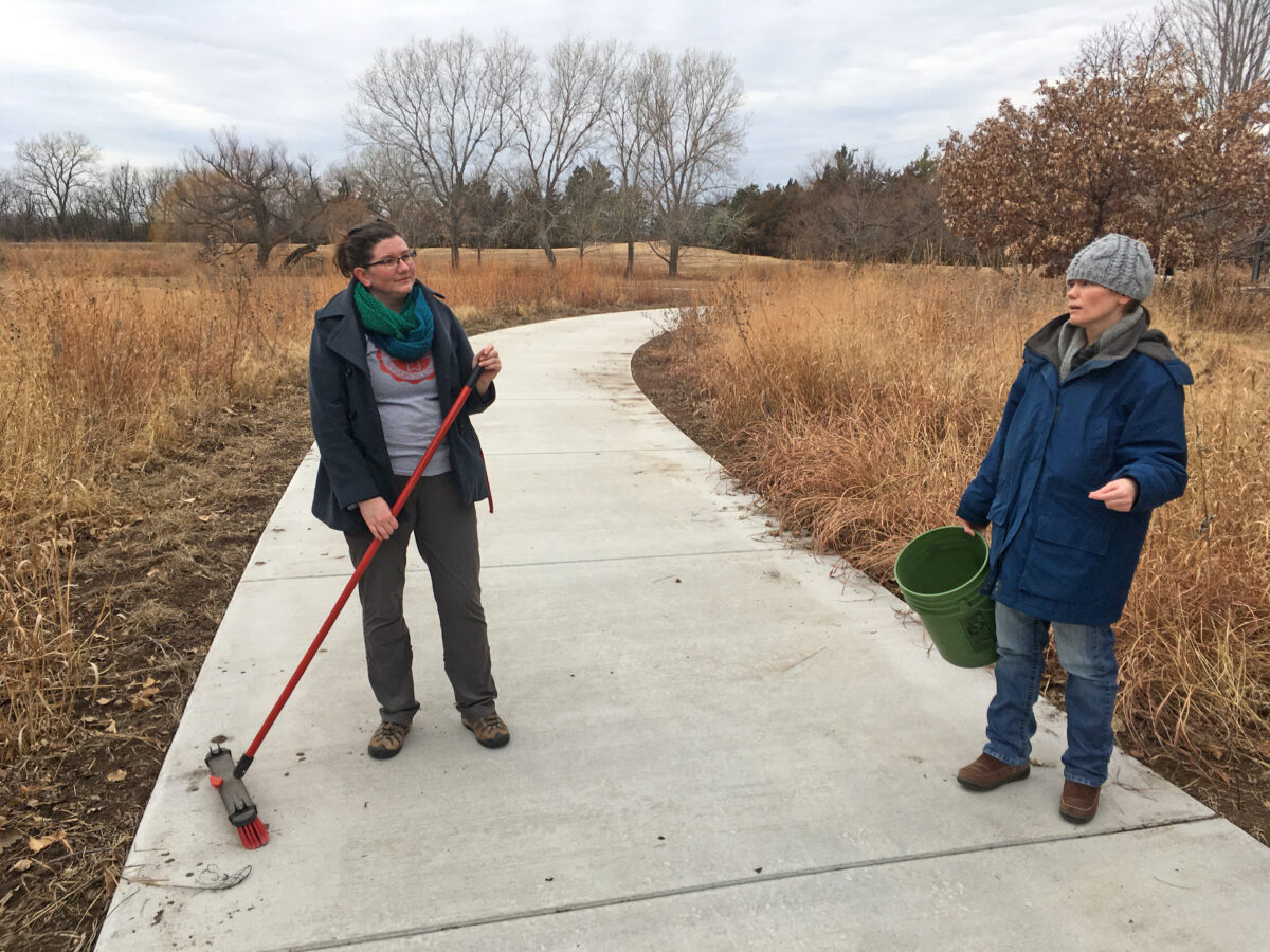 Seeded Prairie Checkup - Dyck Arboretum