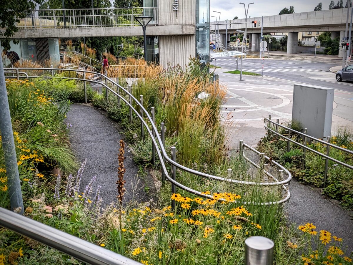 Education and Events Archives - Dyck Arboretum