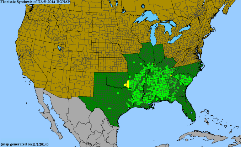 Landscape Design Archives - Dyck Arboretum